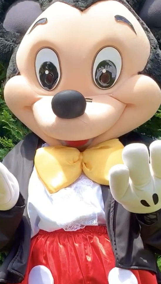 Character Visits, Party Characters, Hire a Princess, Superhero